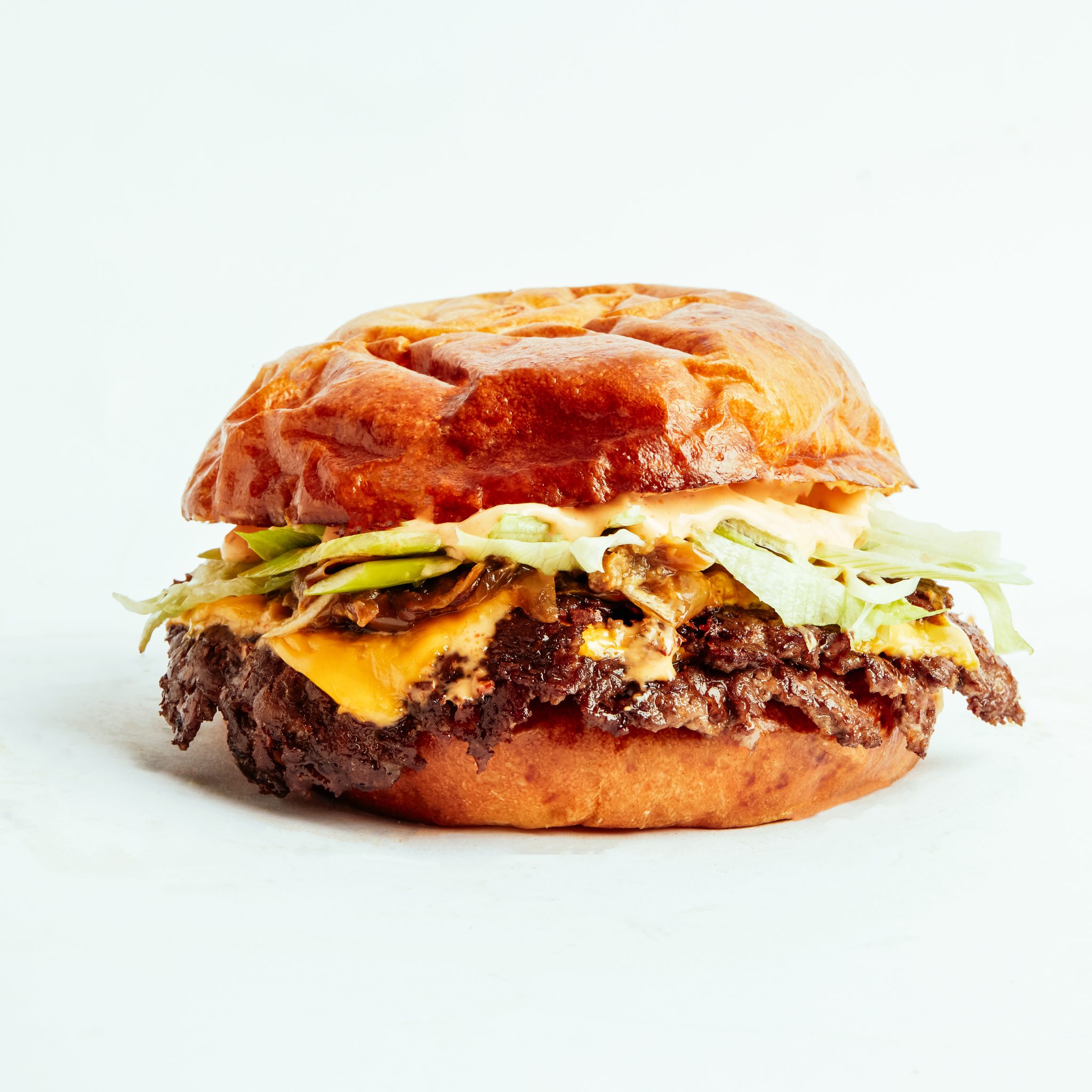 Home - Howard Burger